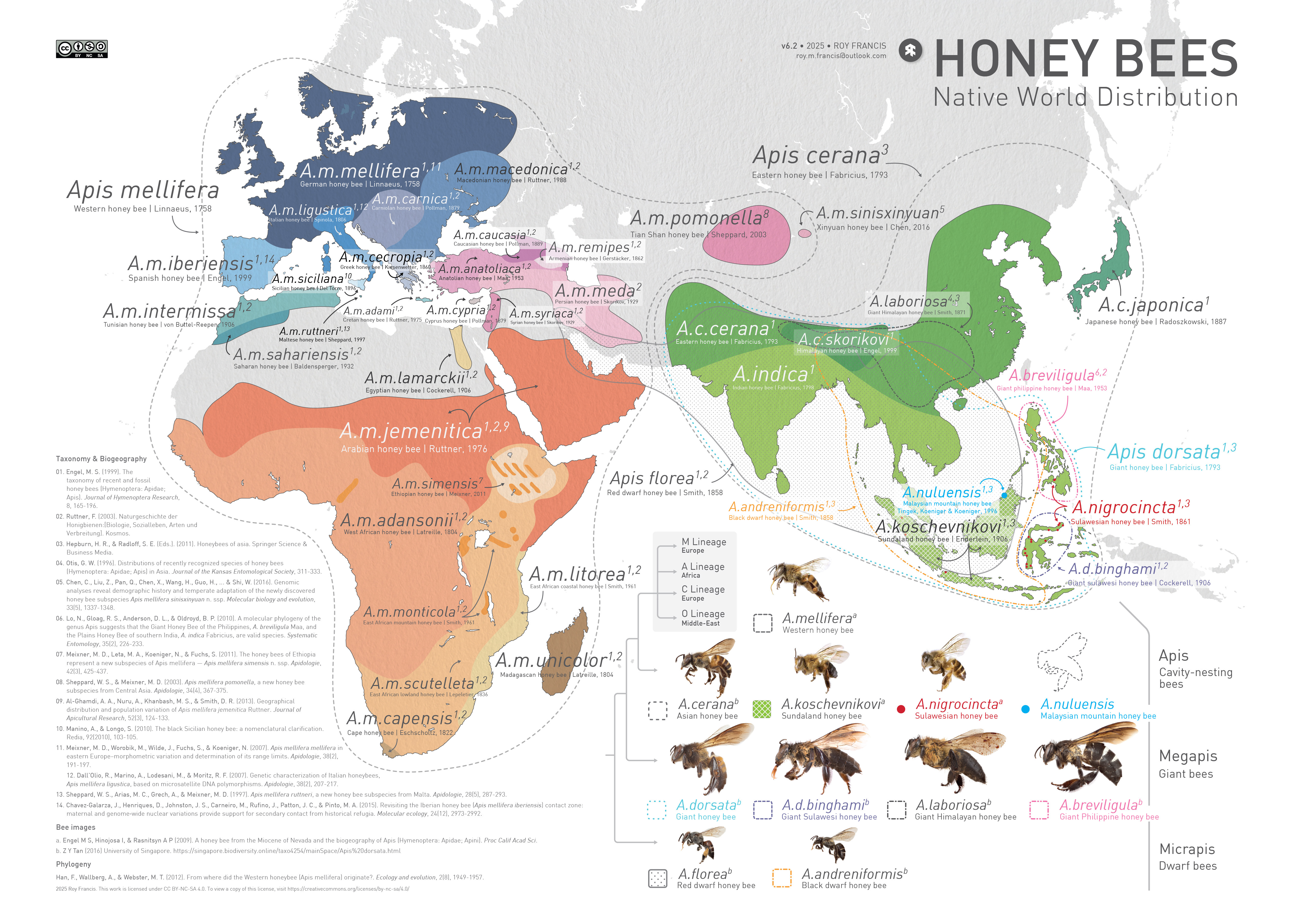 Honey Bees • Native World Distribution Map